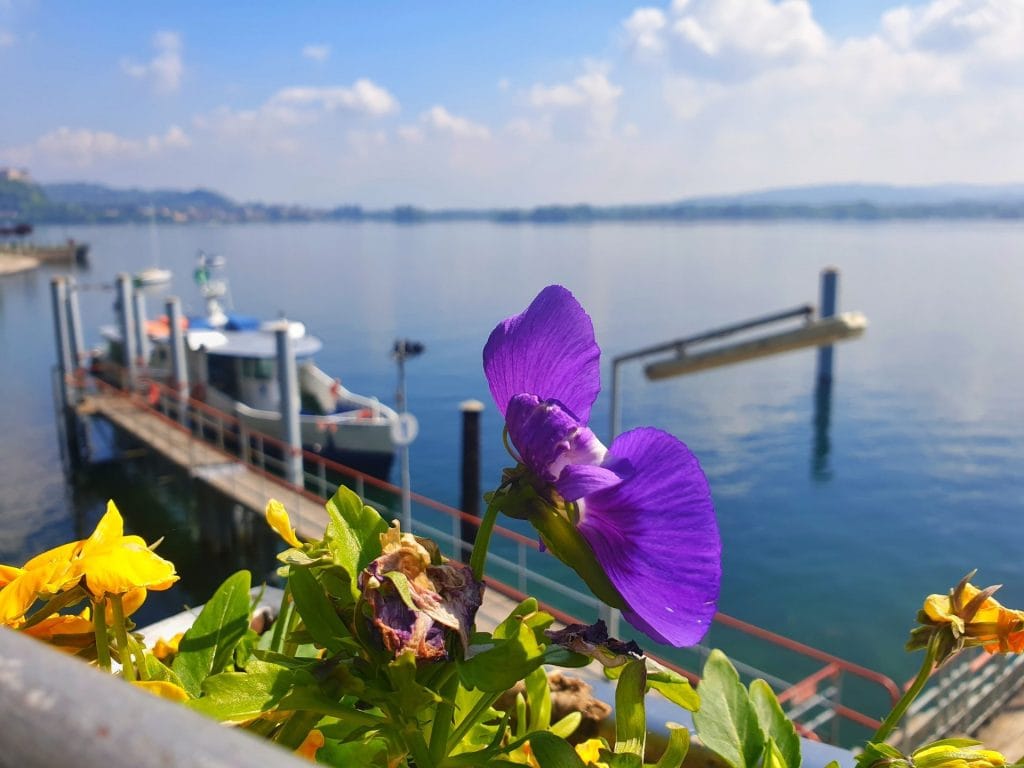 Arona - Lago Maggiore | Giada Mille Esperienze